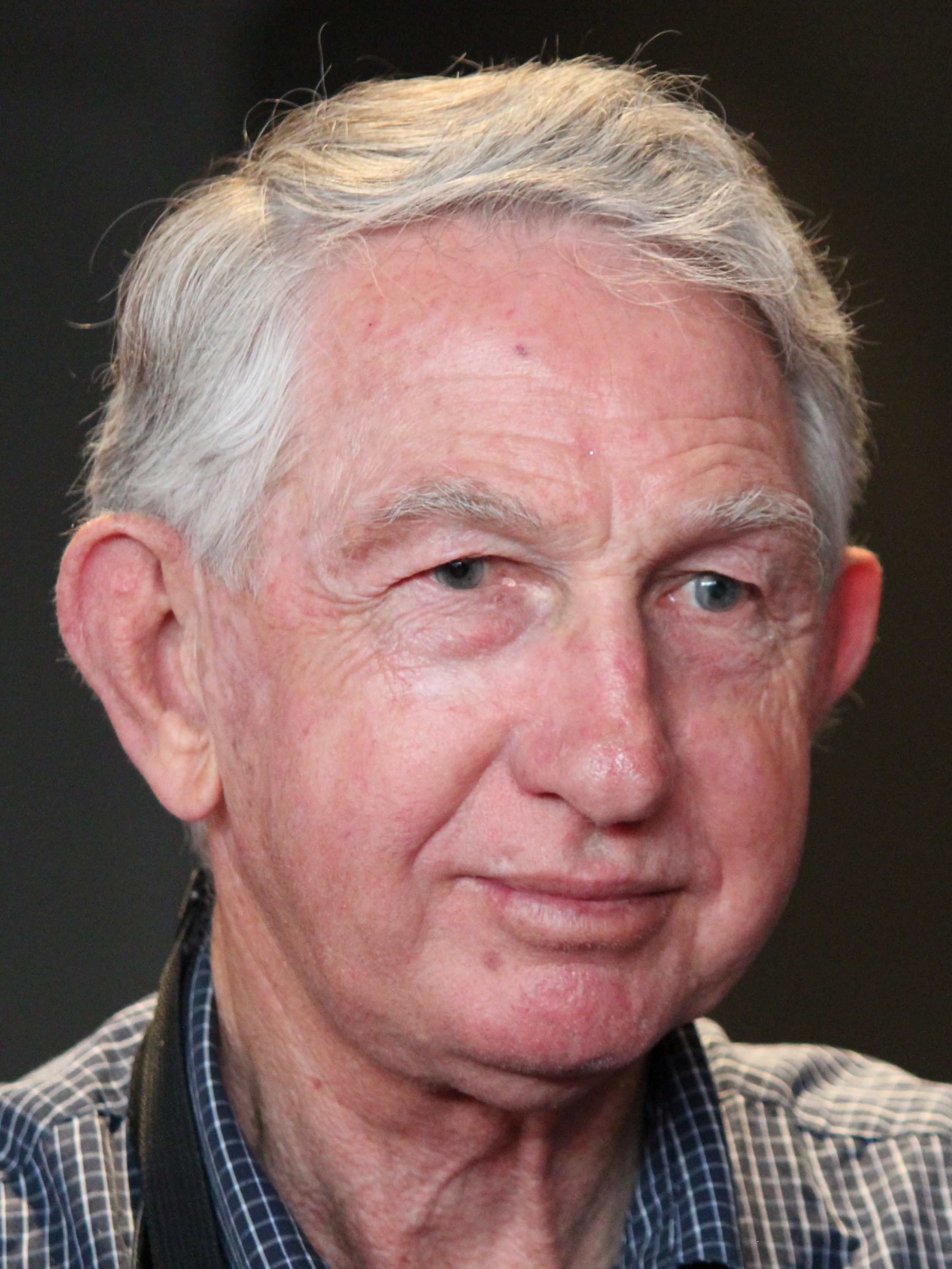 Brian Alexander Parkinson | Vivid Stream